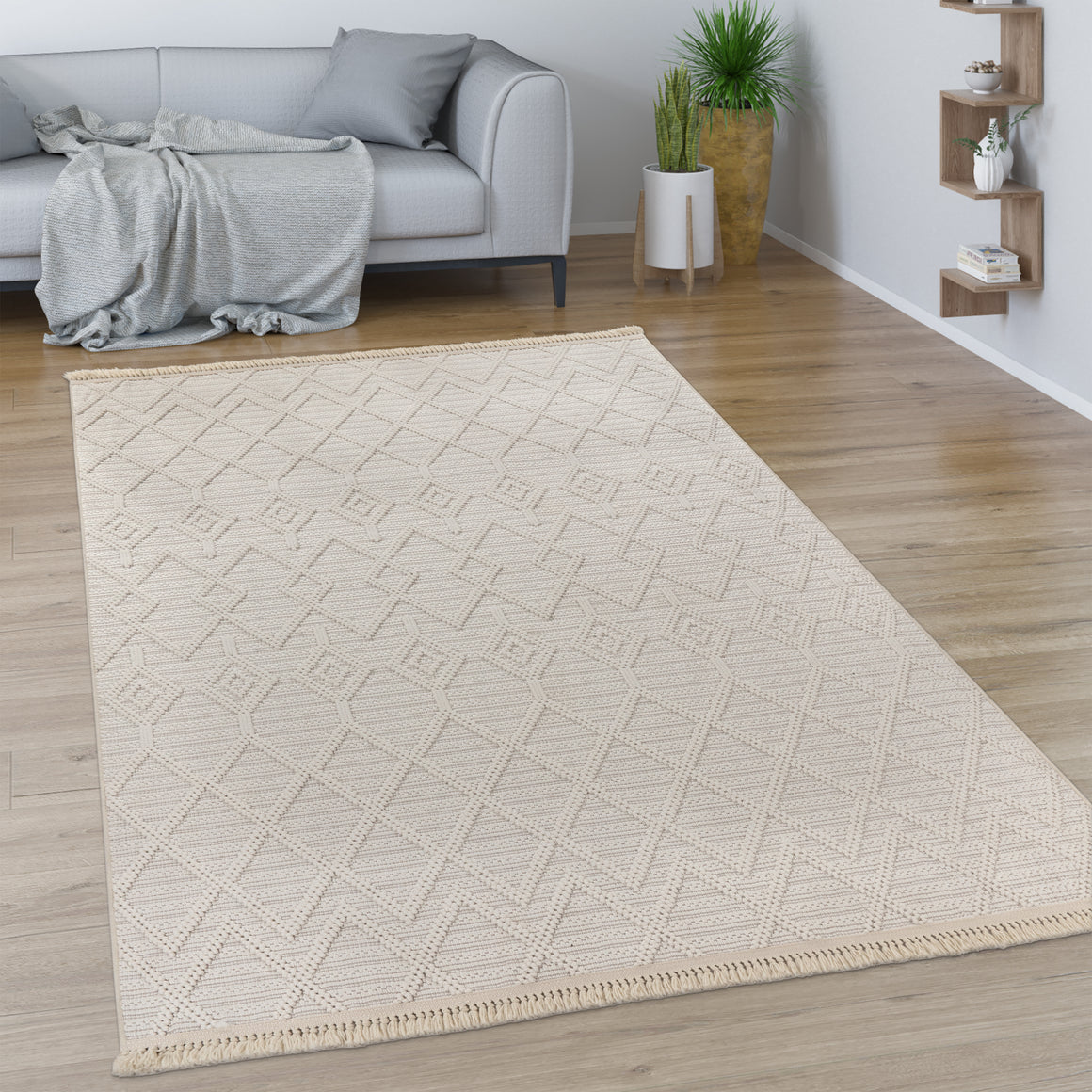 Collections – Paco Home Rugs