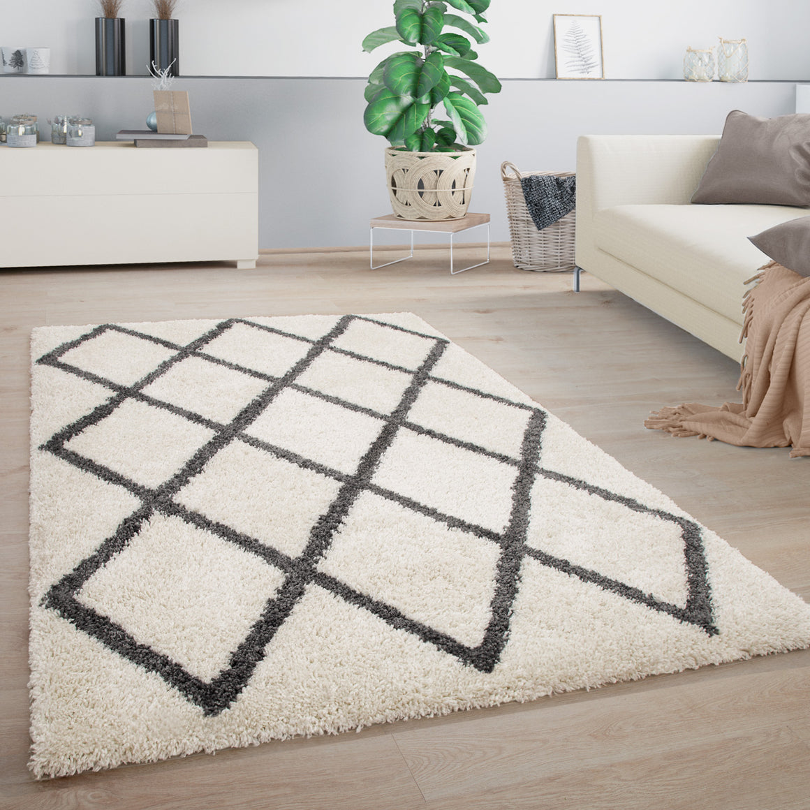 Collections – Paco Home Rugs