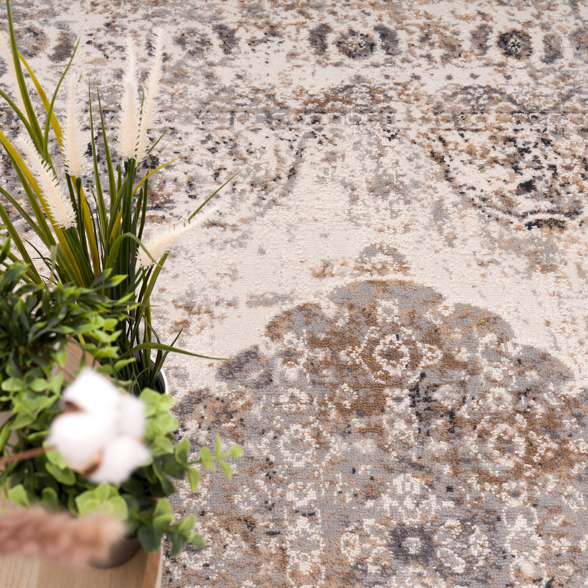 FOGGIA 779 GREY – Paco Home Rugs