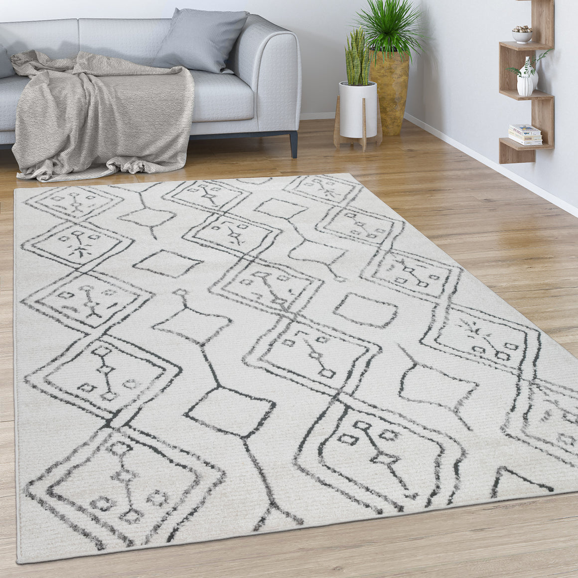 Collections – Paco Home Rugs