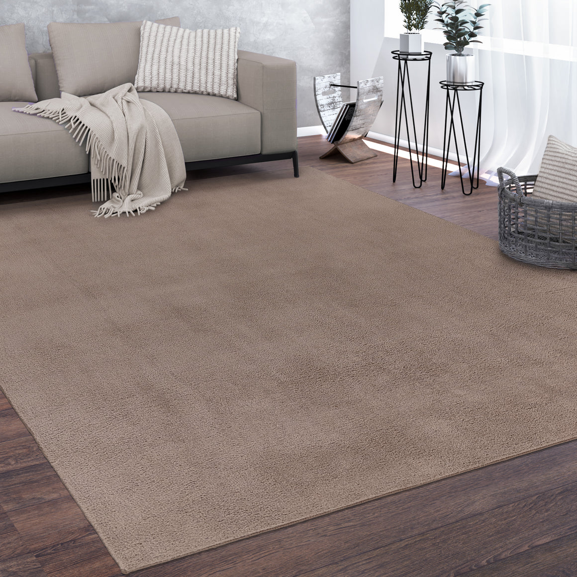 Collections – Paco Home Rugs